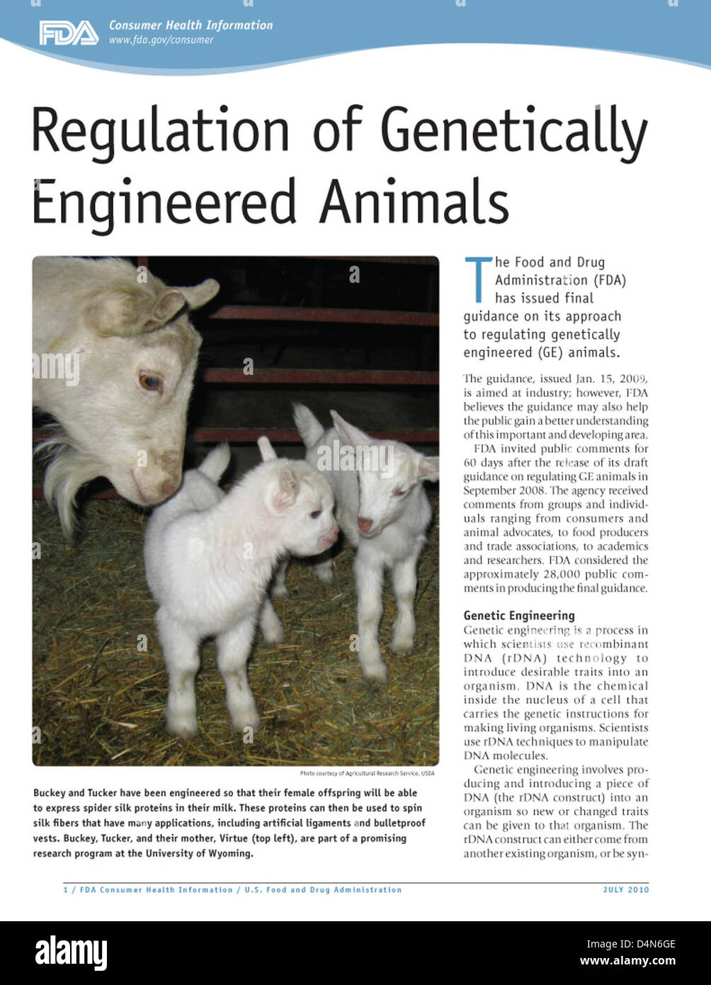 The regulation of genetically engineered (GE) animals is governed by ...