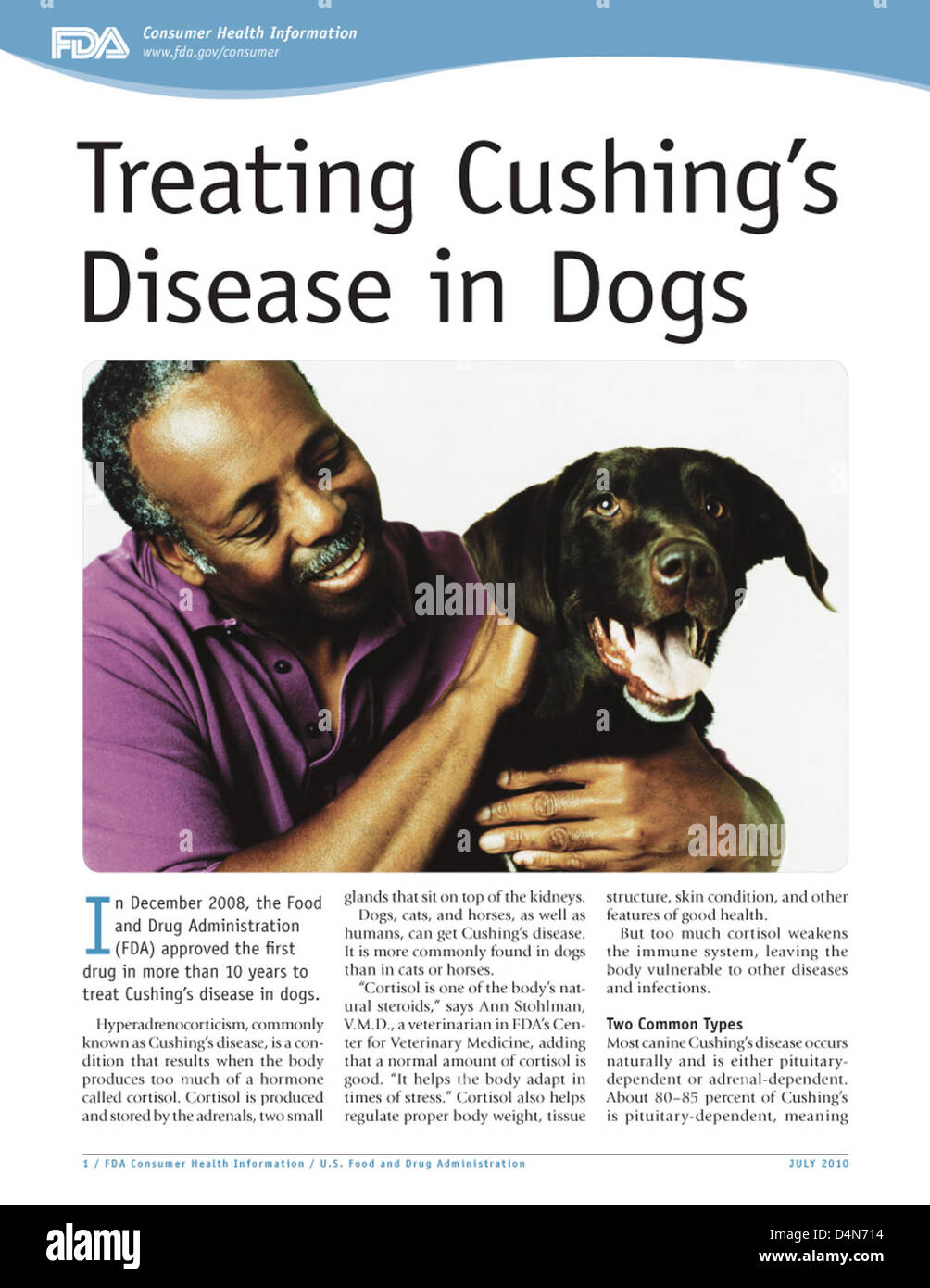 Cushing's disease in dogs, also known as hyperadrenocorticism, is ...