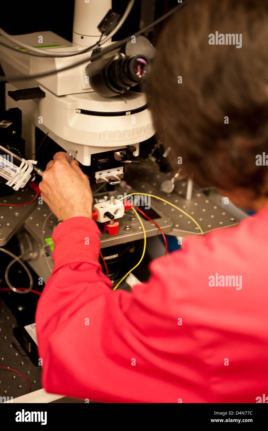 Peripheral nerve stimulation is a medical technique that uses ...