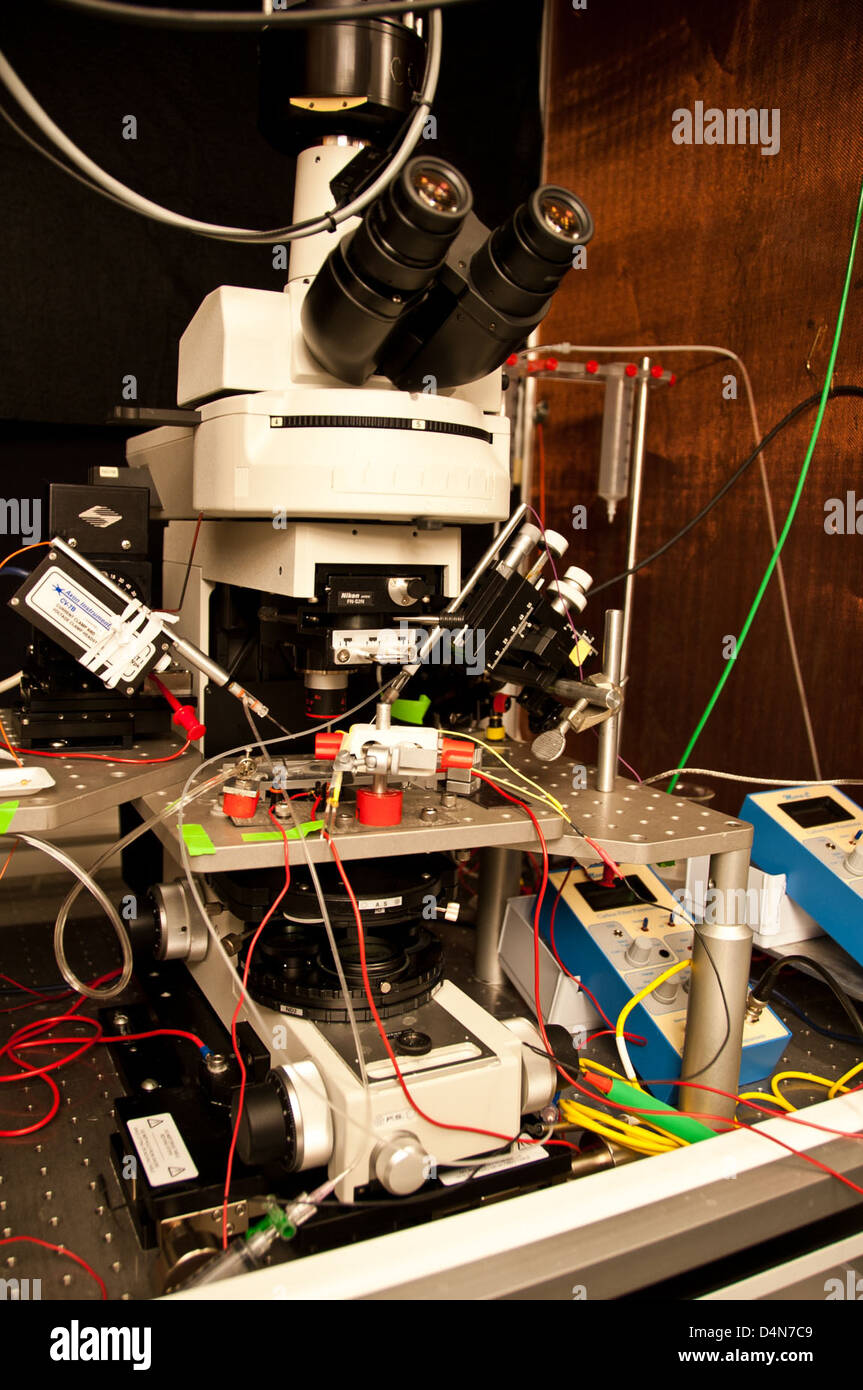 A laboratory study on peripheral nerve stimulation using biosensors ...