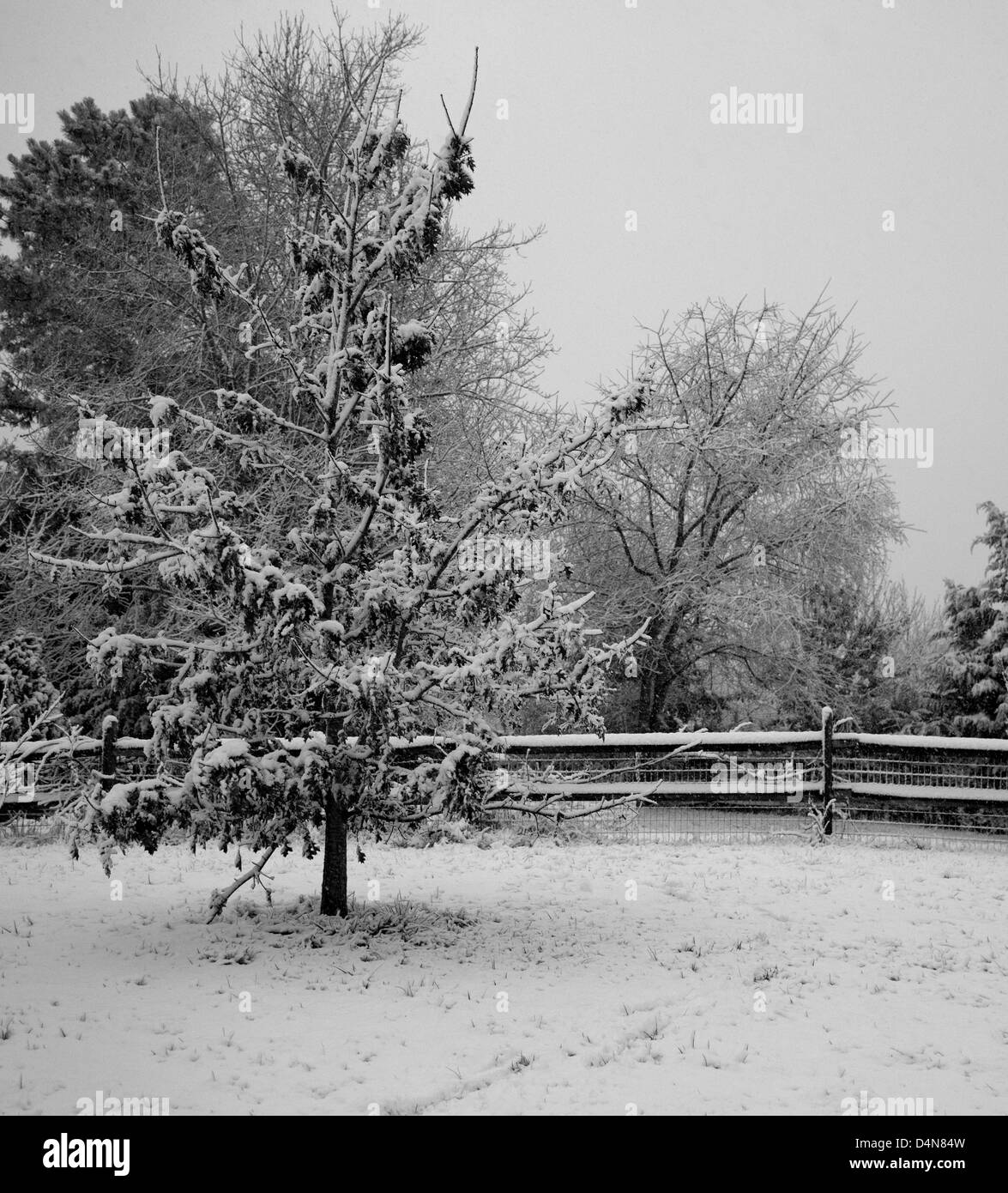 Farm fence snow hi-res stock photography and images - Alamy