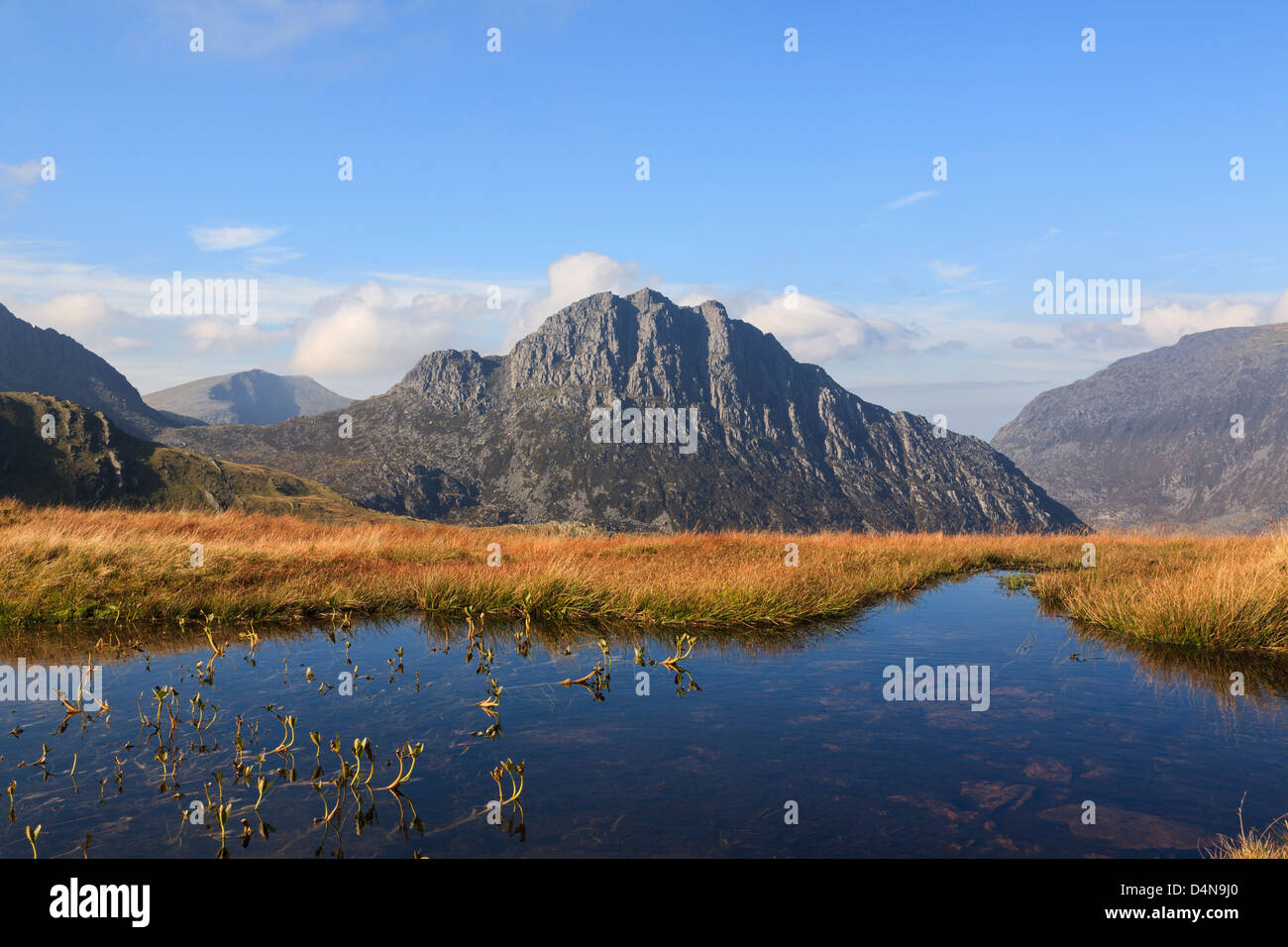 Mt Tryfan mountain east face across Nant yr Ogof with boggy upland pool ...