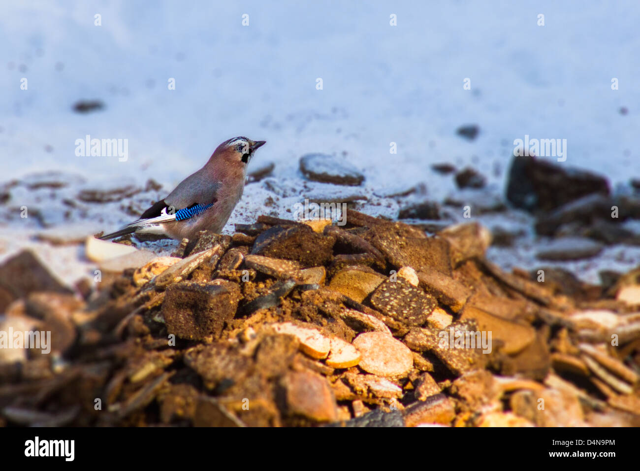 Sentinel pile hi-res stock photography and images - Alamy
