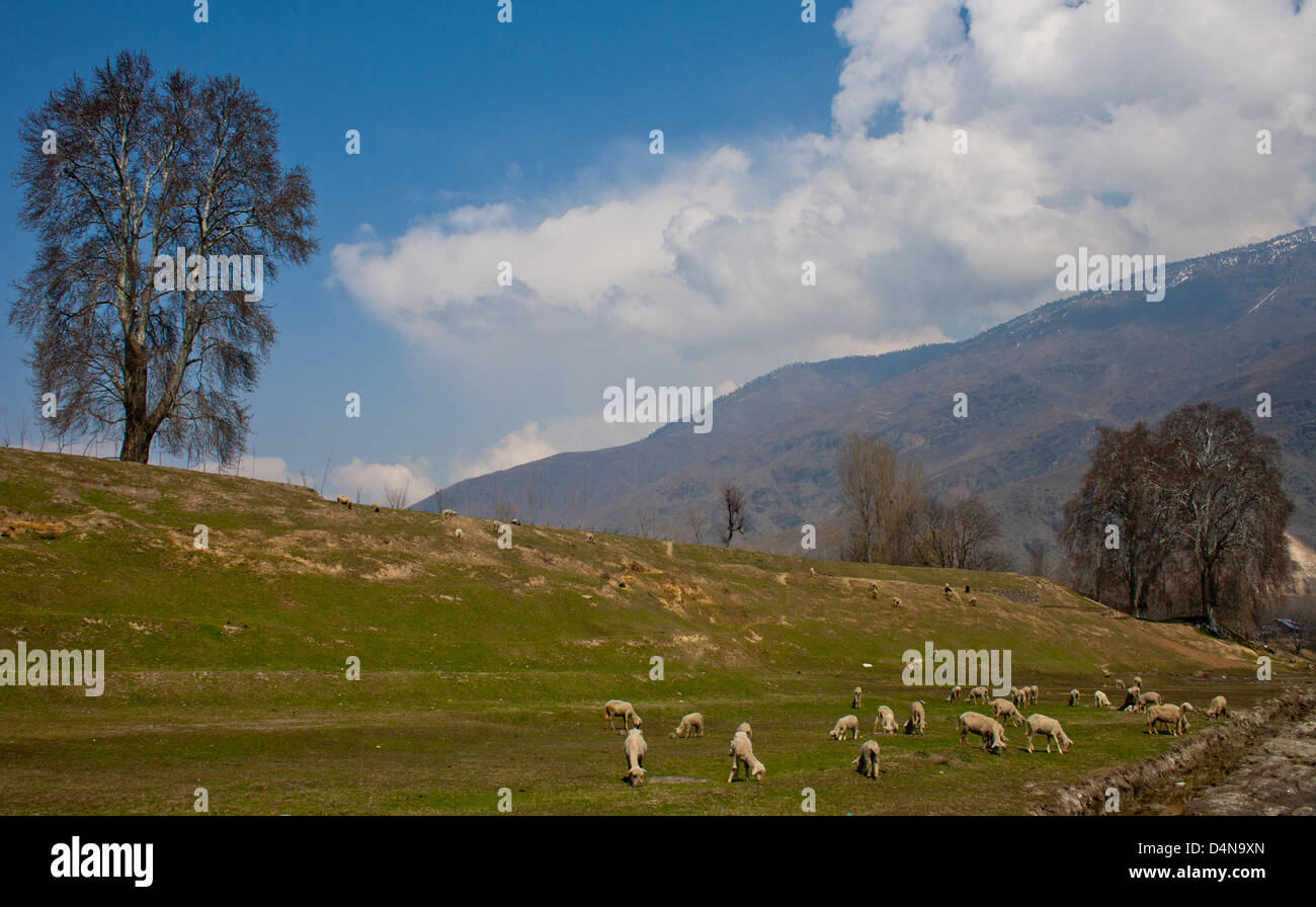 Lake Manasbal High Resolution Stock Photography and Images - Alamy