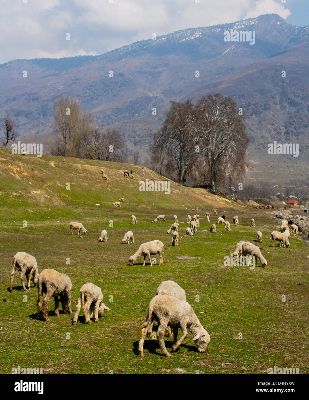 Lake manasbal hi-res stock photography and images - Alamy