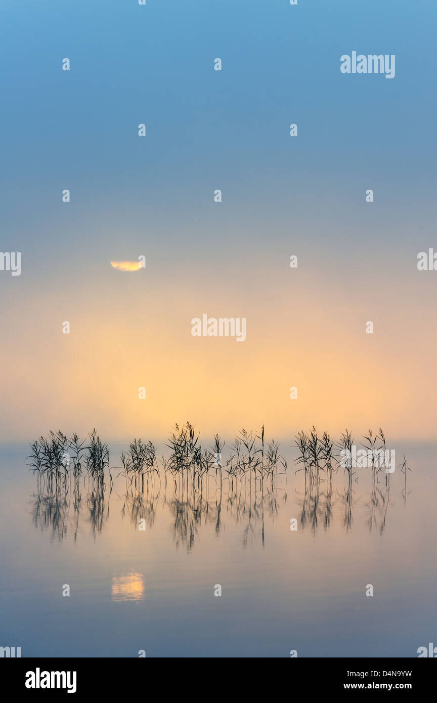 Dawn over lake Finnsjön, Mölnlycke, Sweden, Europe Stock Photo - Alamy