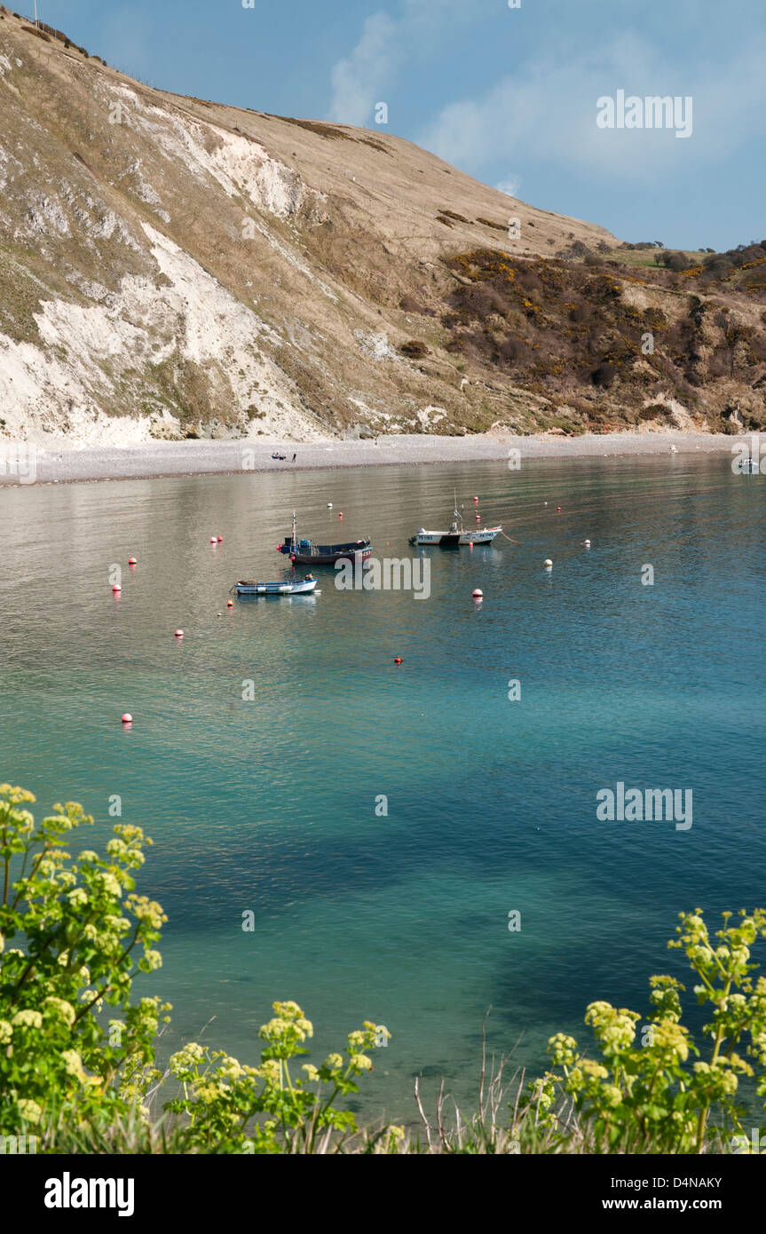 Lulworth cove jurassic coast hi-res stock photography and images - Alamy