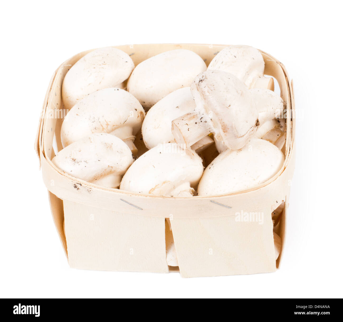 Punnet of fresh whole cultivated white button mushrooms for use as a ...