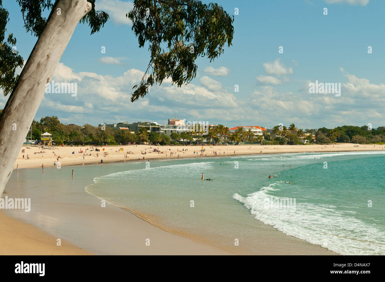Noosa Beach, Noosa, Sunshine Coast, Queensland, Australia Stock Photo ...