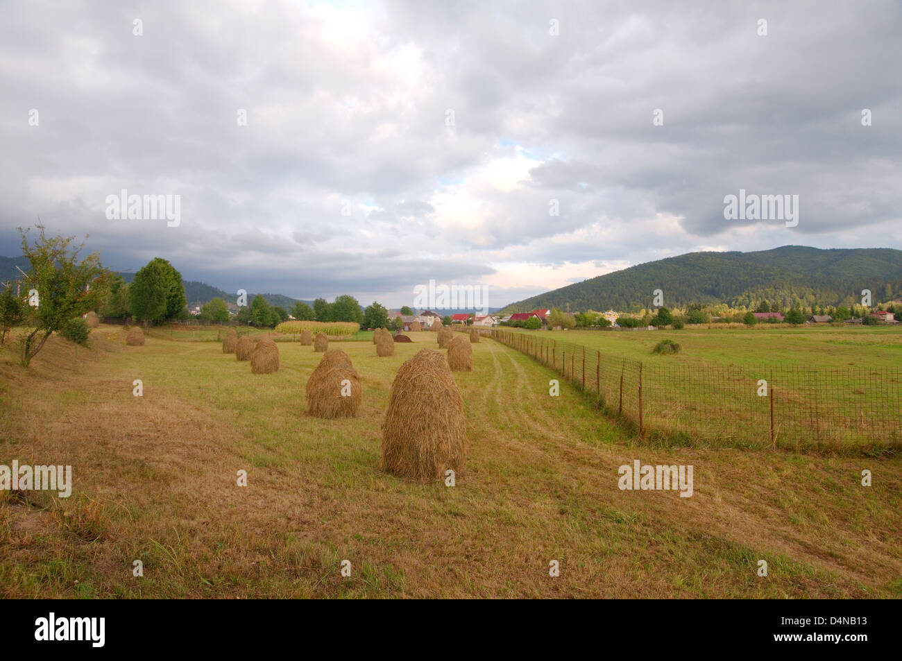 Haystack haystacks romania romanian hi-res stock photography and images ...