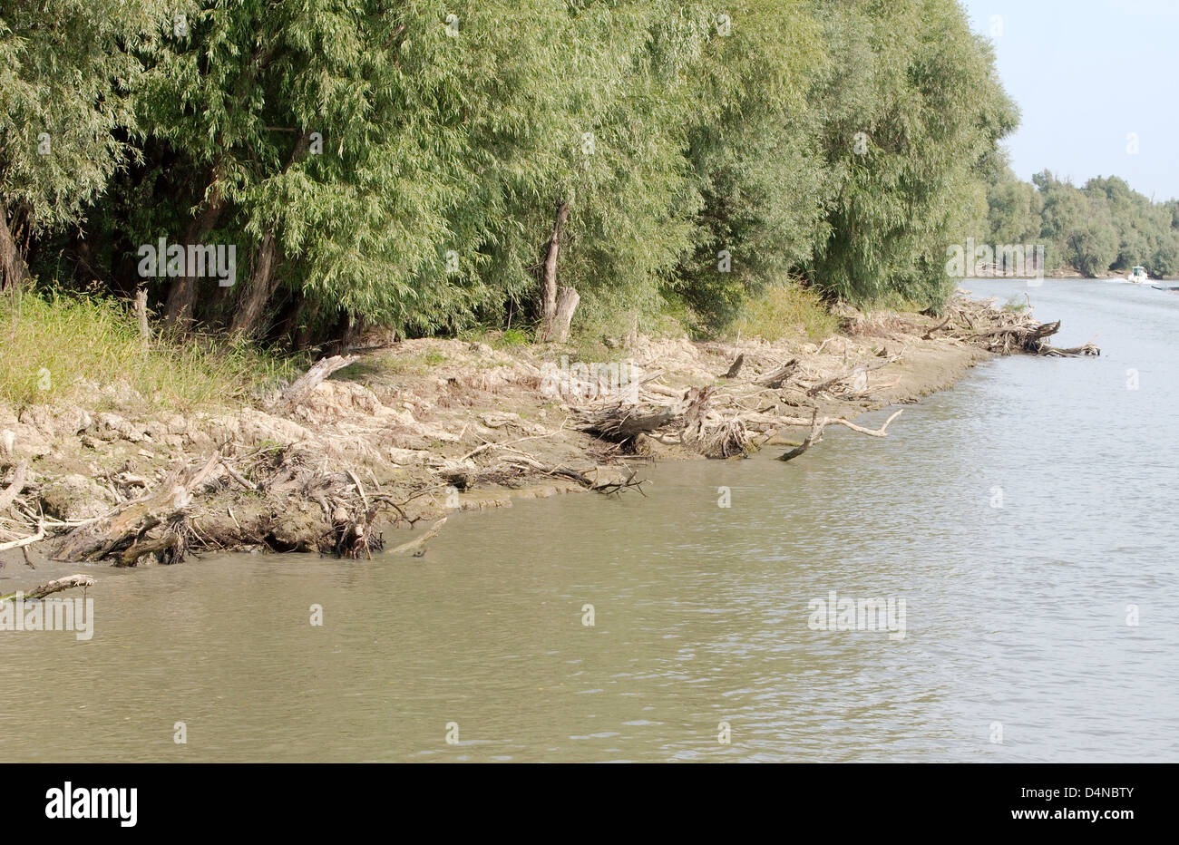 River landscape, Danube, Tulcea, Romania, Europe Stock Photo - Alamy