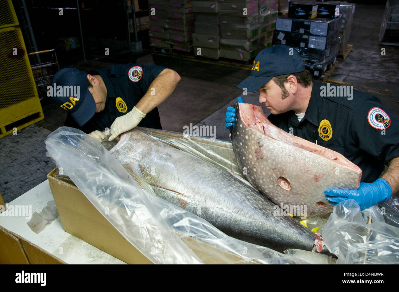 The FDA is inspecting seafood imports for potential contamination with ...