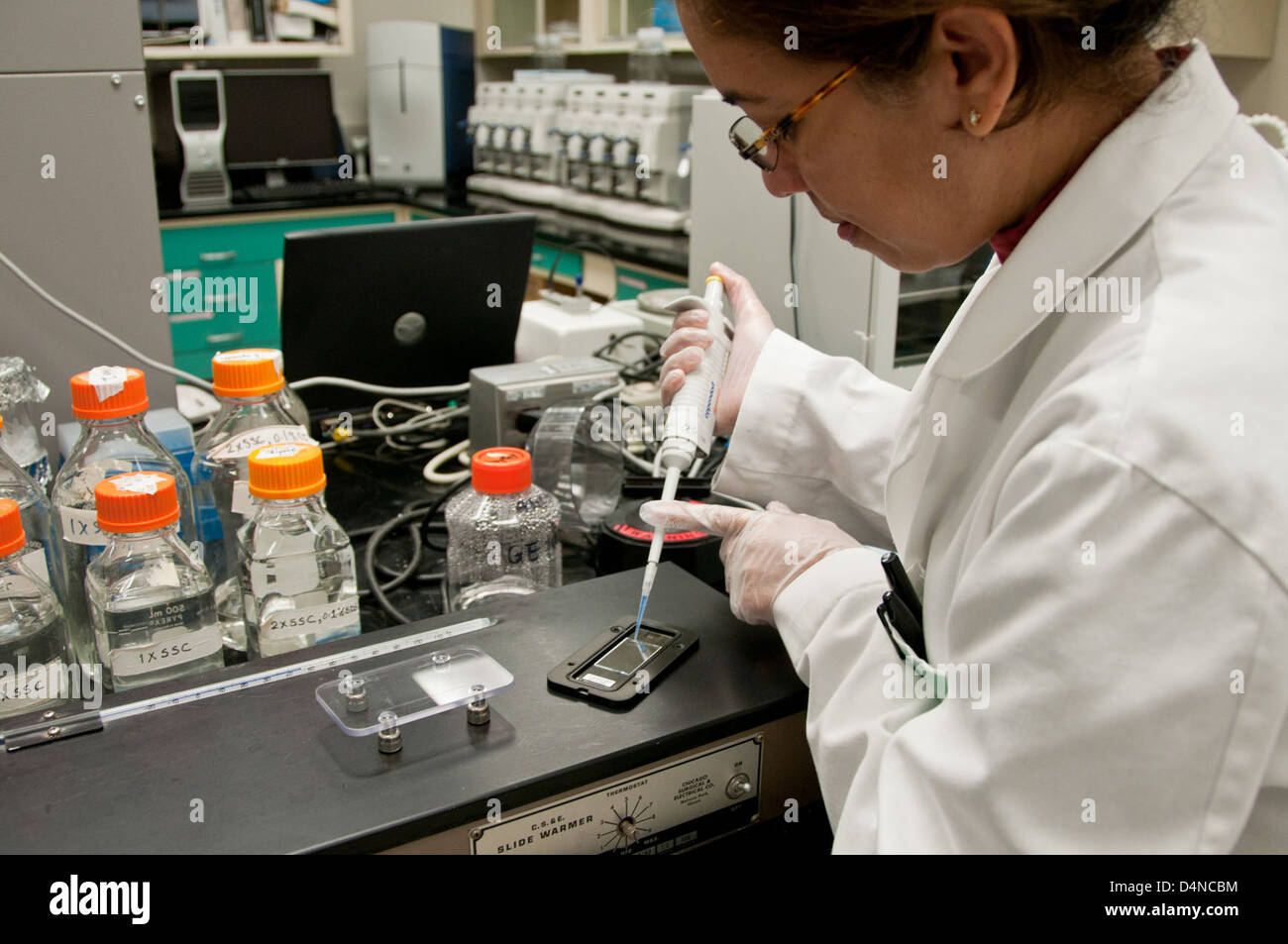 Fda toxicology research hi-res stock photography and images - Alamy