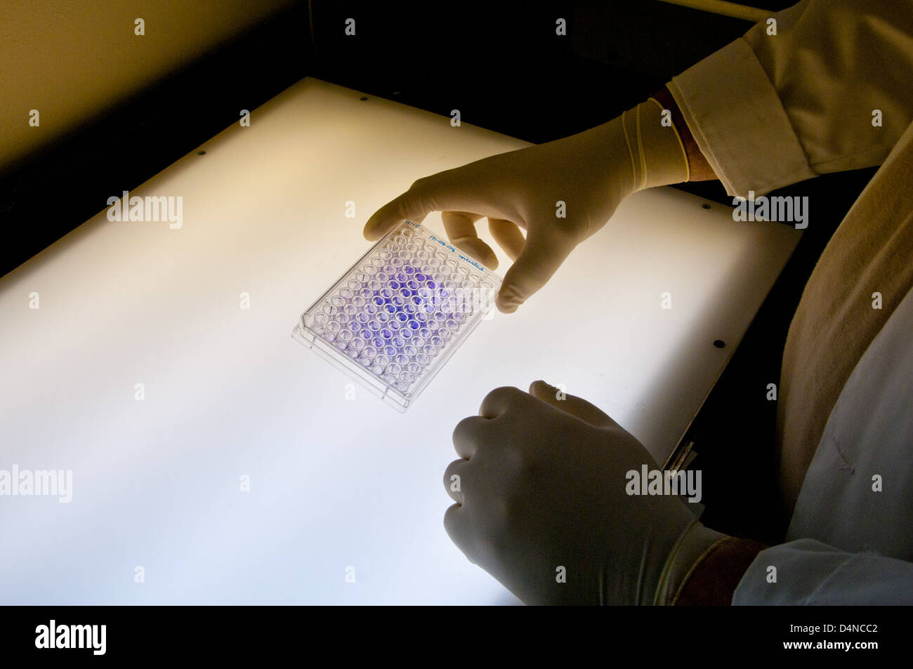 The FDA's National Center for Toxicological Research (NCTR) conducts ...