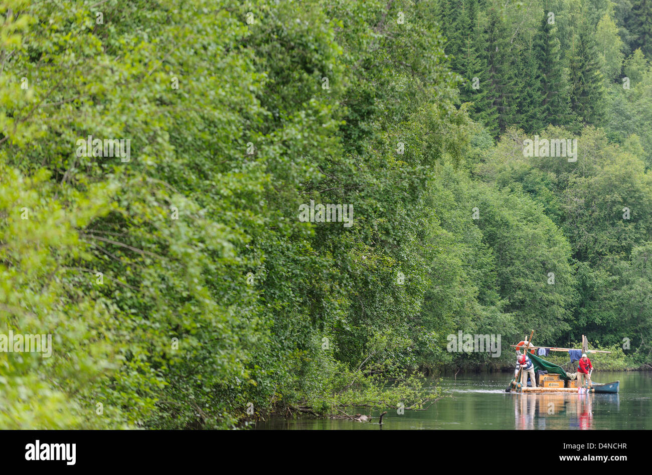 Timber raft on lake, Klarälven, Värmland, Sweden, Europe Stock Photo ...