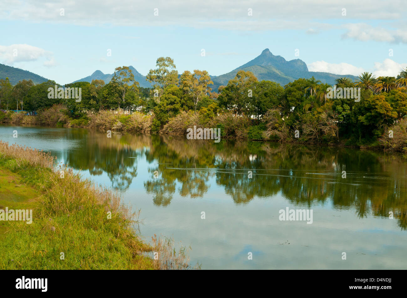 Reflections in Tweed River at Murwillumbah, NSW, Australia Stock Photo ...