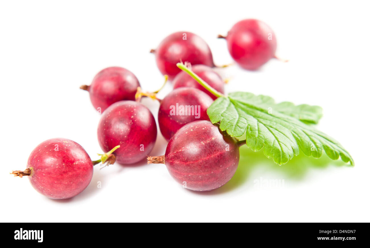 ripe red gooseberry on a white background Stock Photo - Alamy
