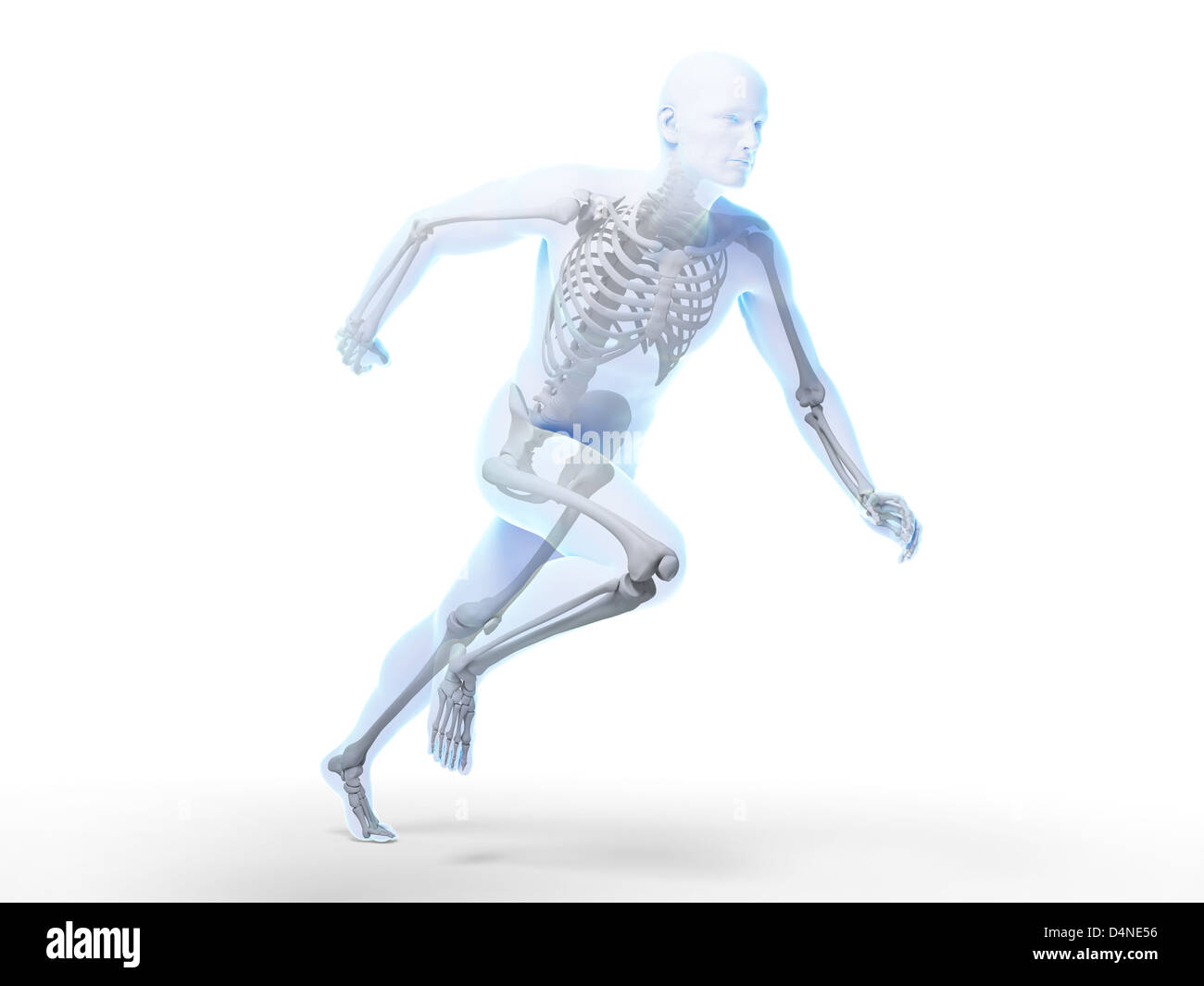 Human walking x ray hi-res stock photography and images - Alamy