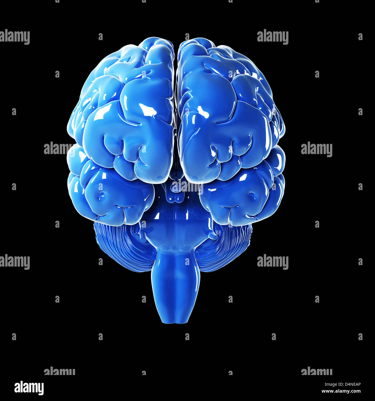 Glossy blue brain Stock Photo - Alamy