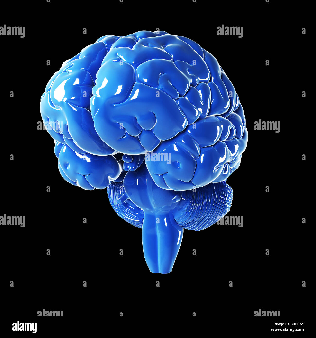 Glossy blue brain Stock Photo - Alamy
