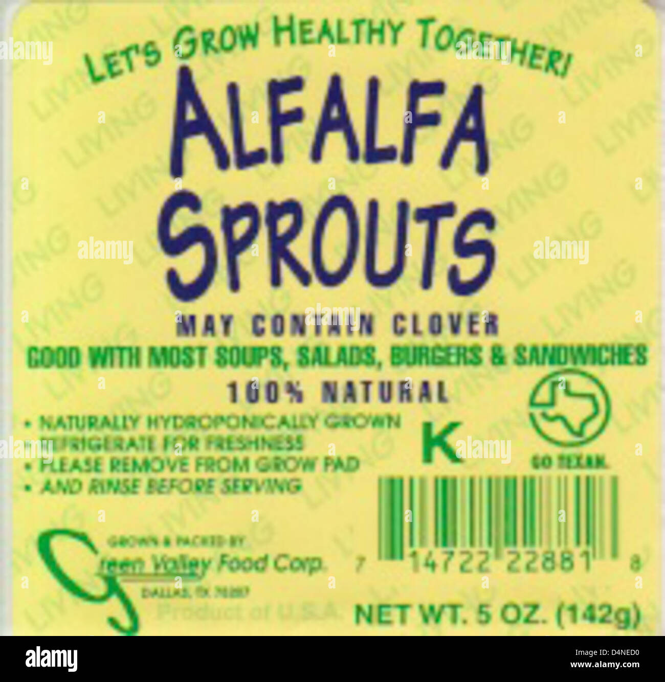 RECALLED - Alfalfa Sprouts Stock Photo - Alamy RECALLED - Alfalfa Sprouts Stock Photo - Alamy