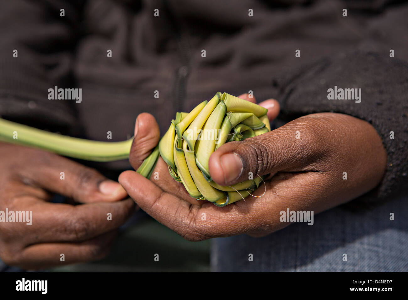 Young Gullah boy making palmetto roses at the Historic Charleston City ...