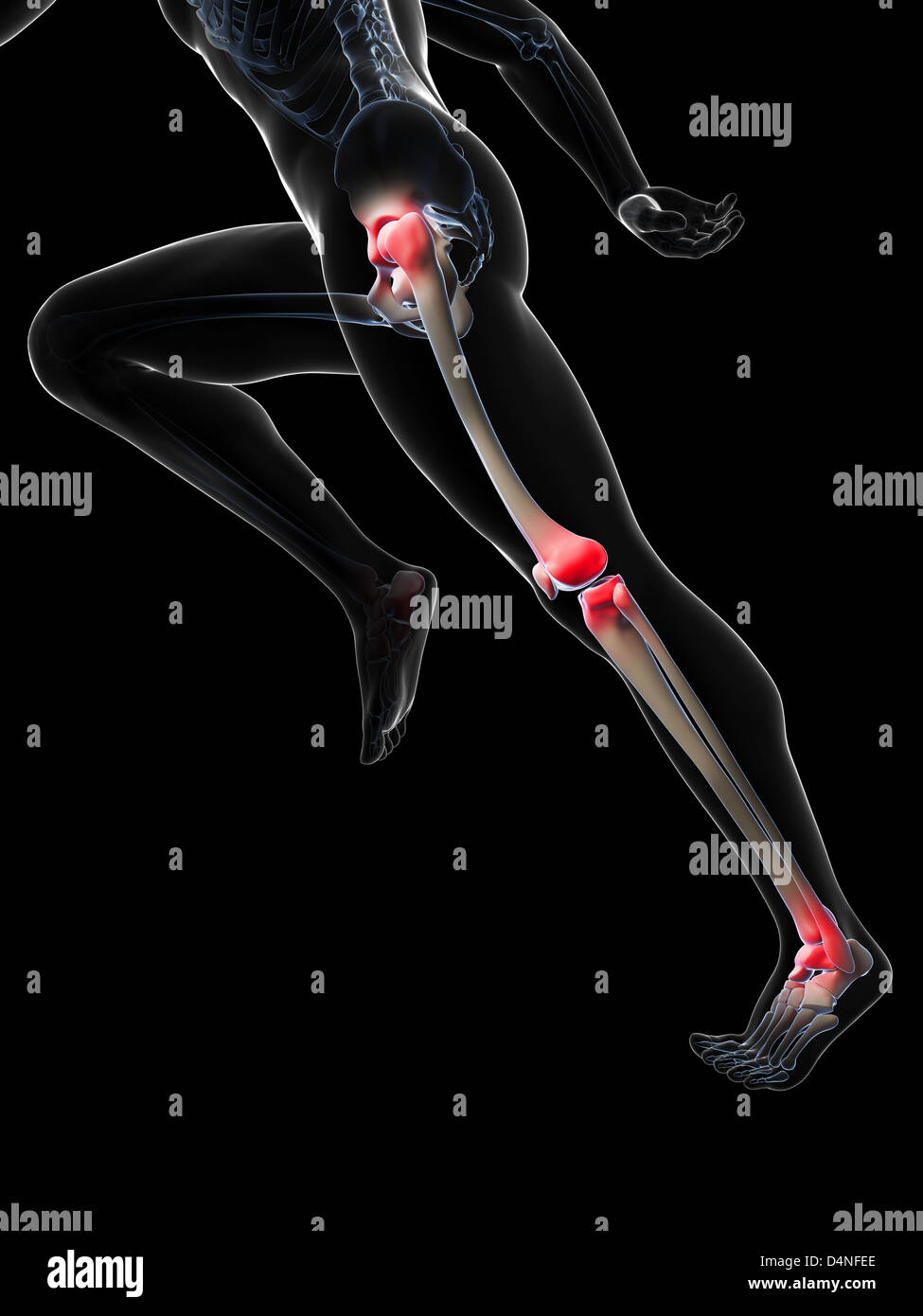 Human joint highlighted x ray hi-res stock photography and images - Alamy