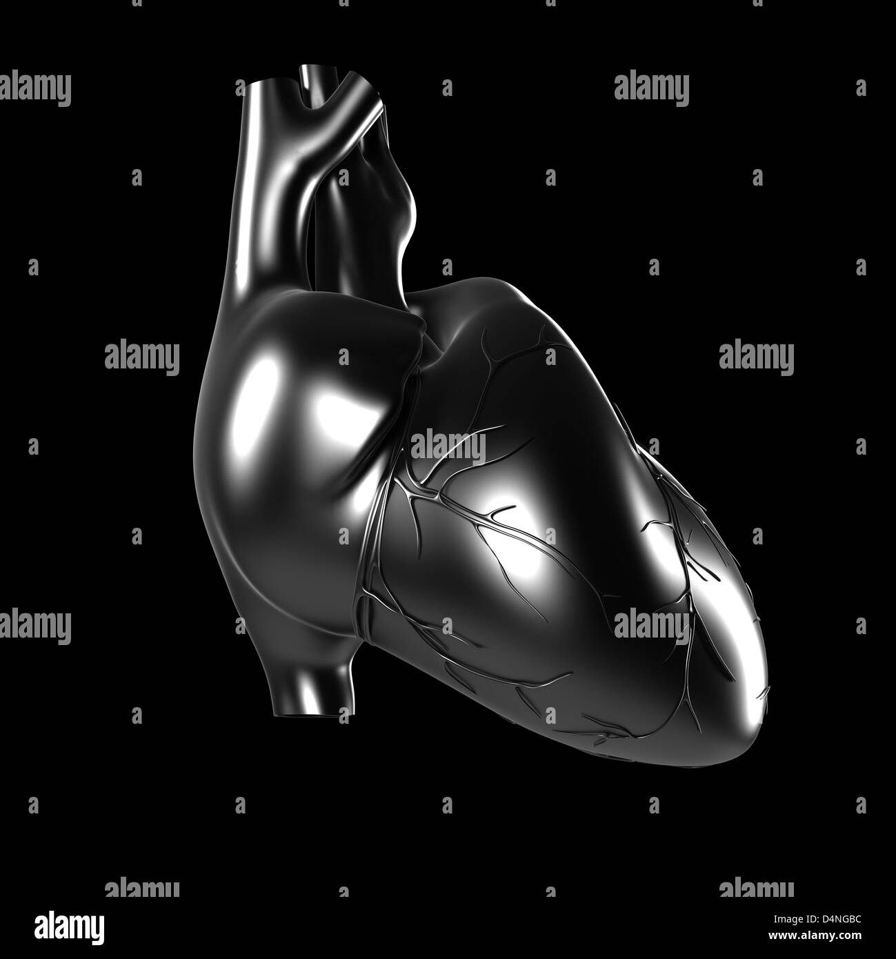 Human heart human internal organ Black and White Stock Photos & Images ...