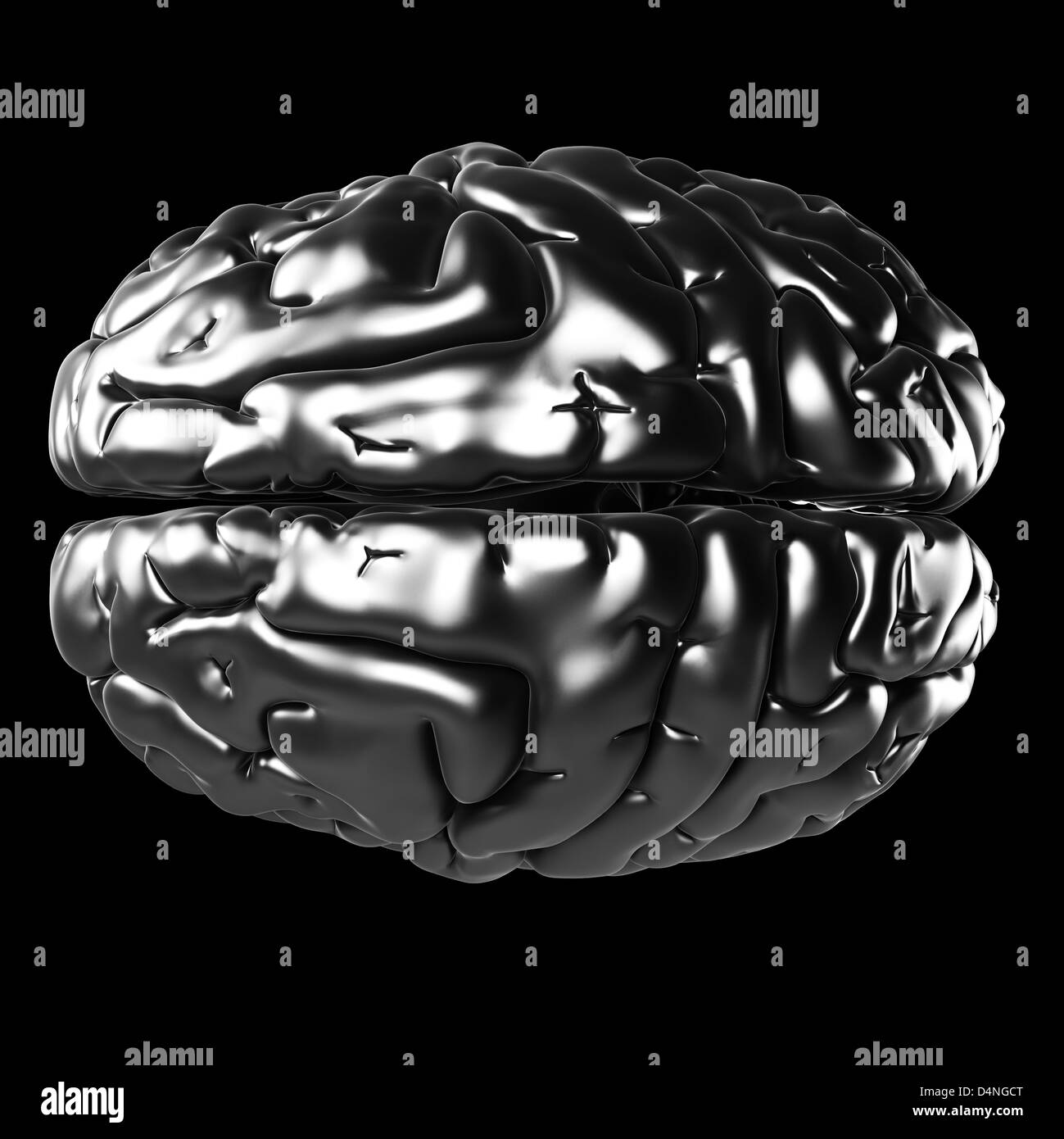 Parts of the brain scan hi-res stock photography and images - Alamy