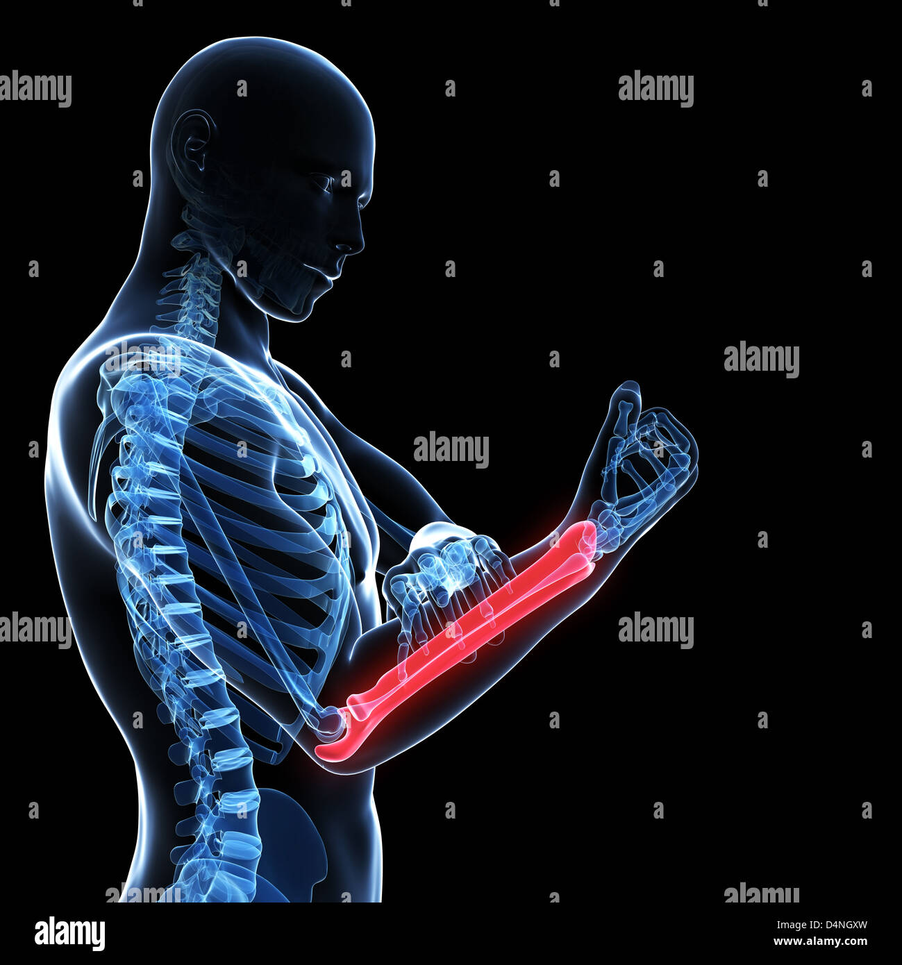 Arm wrist hand hi-res stock photography and images - Alamy