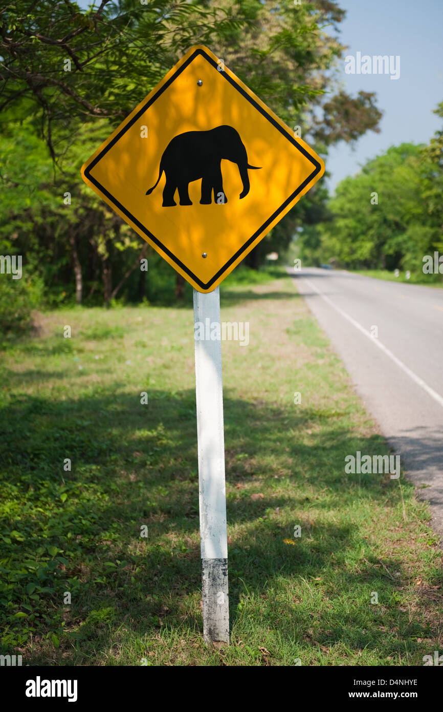 Road sign elephants crossing hi-res stock photography and images - Alamy