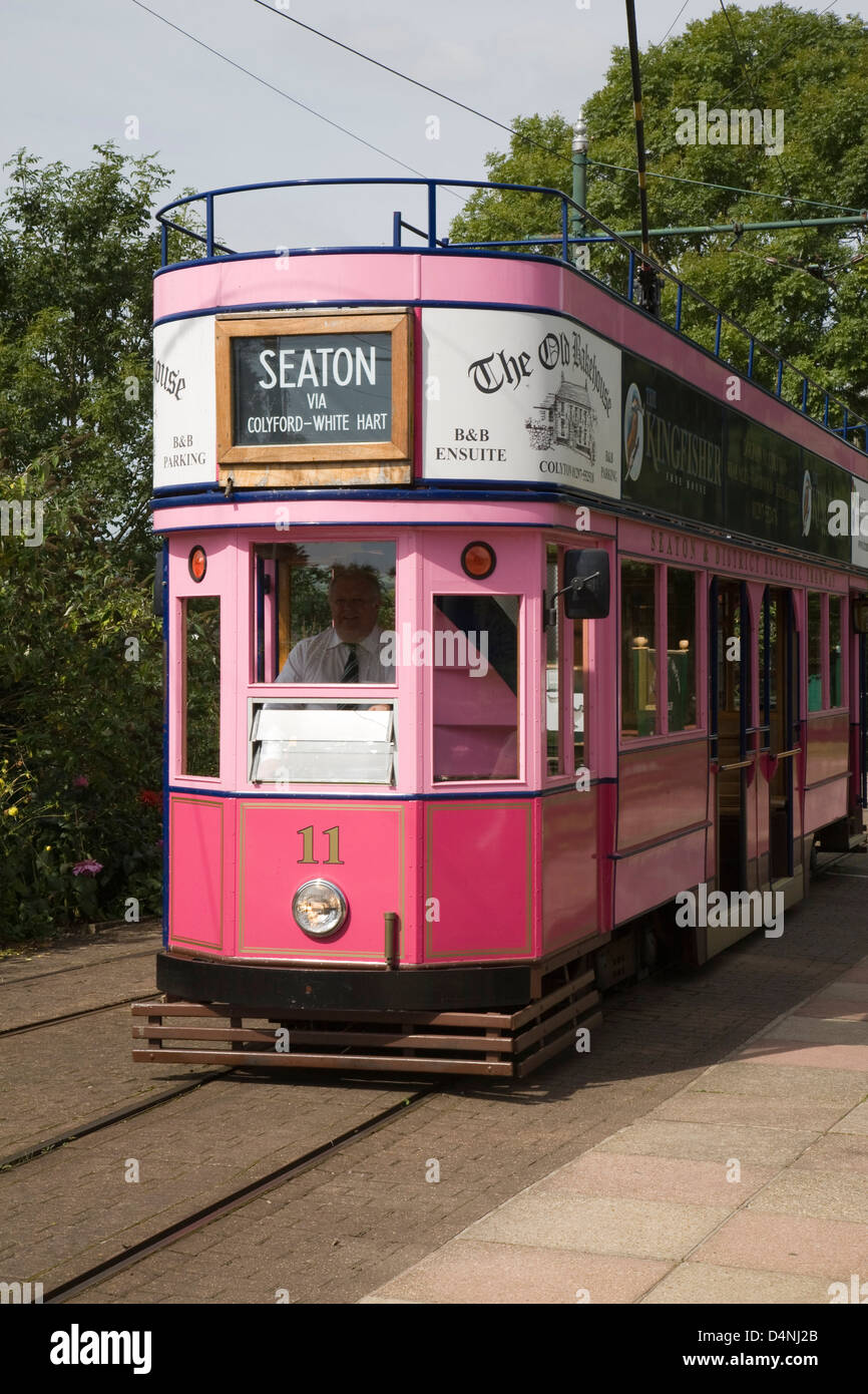 A pink narrow gauge tram at Colyton in Devon, England Stock Photo - Alamy