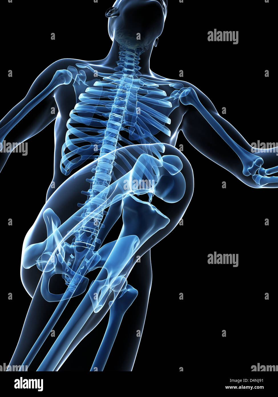 Sports anatomy hi-res stock photography and images - Alamy