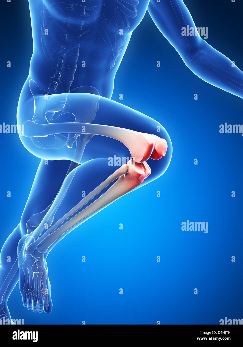 Runners highlighted joints Stock Photo - Alamy
