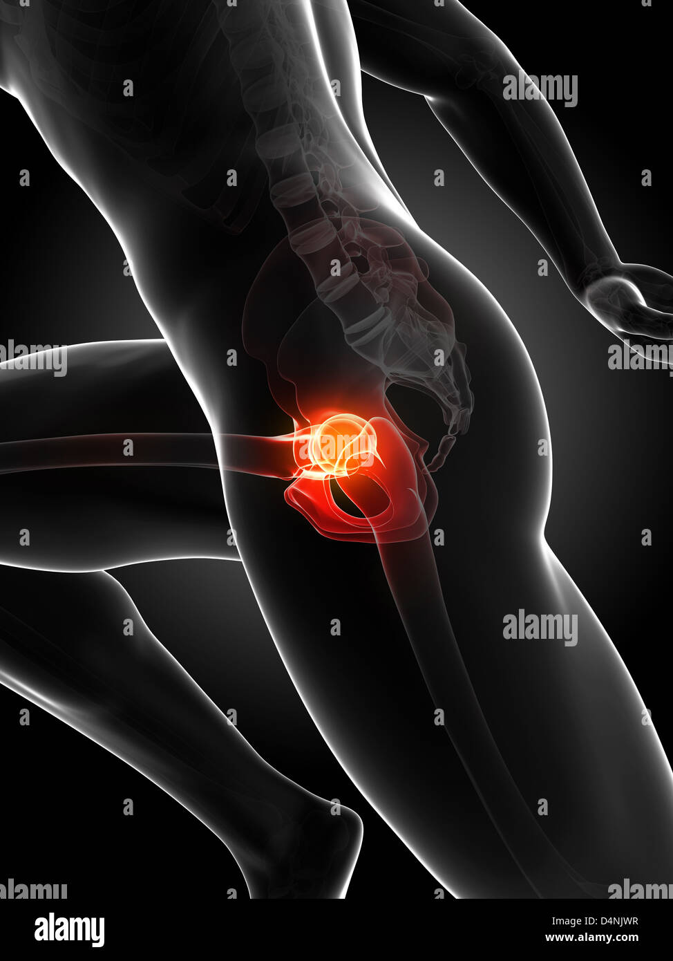 Human joint highlighted x ray hi-res stock photography and images - Alamy