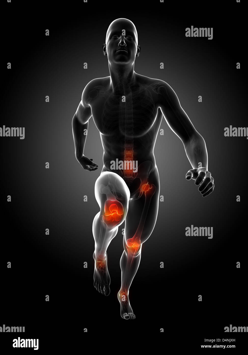 Human body joints illustration hi-res stock photography and images - Alamy
