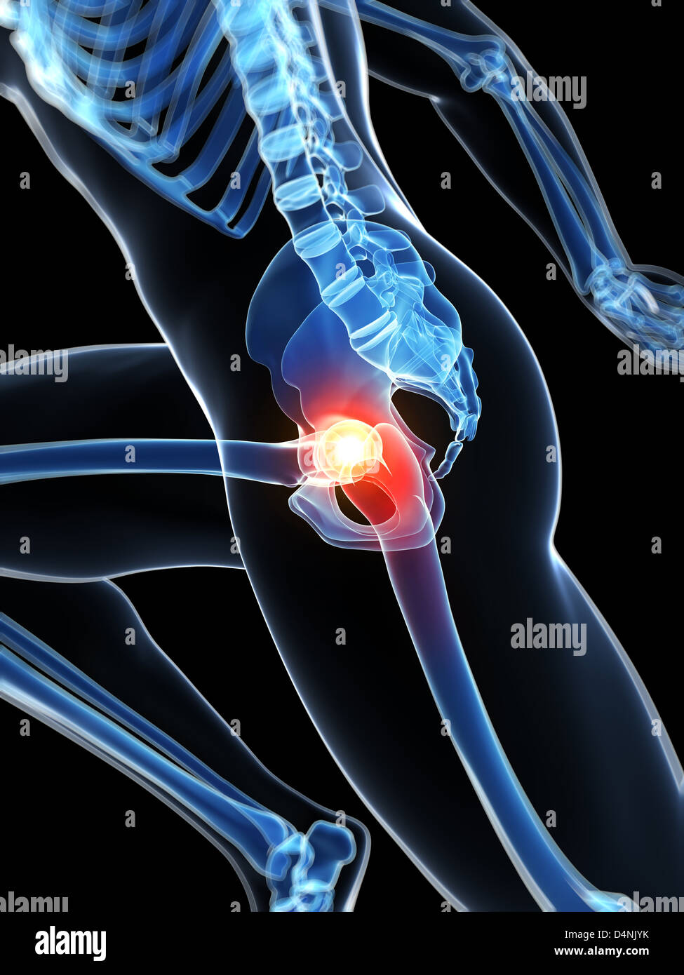 Runners highlighted joints Stock Photo - Alamy