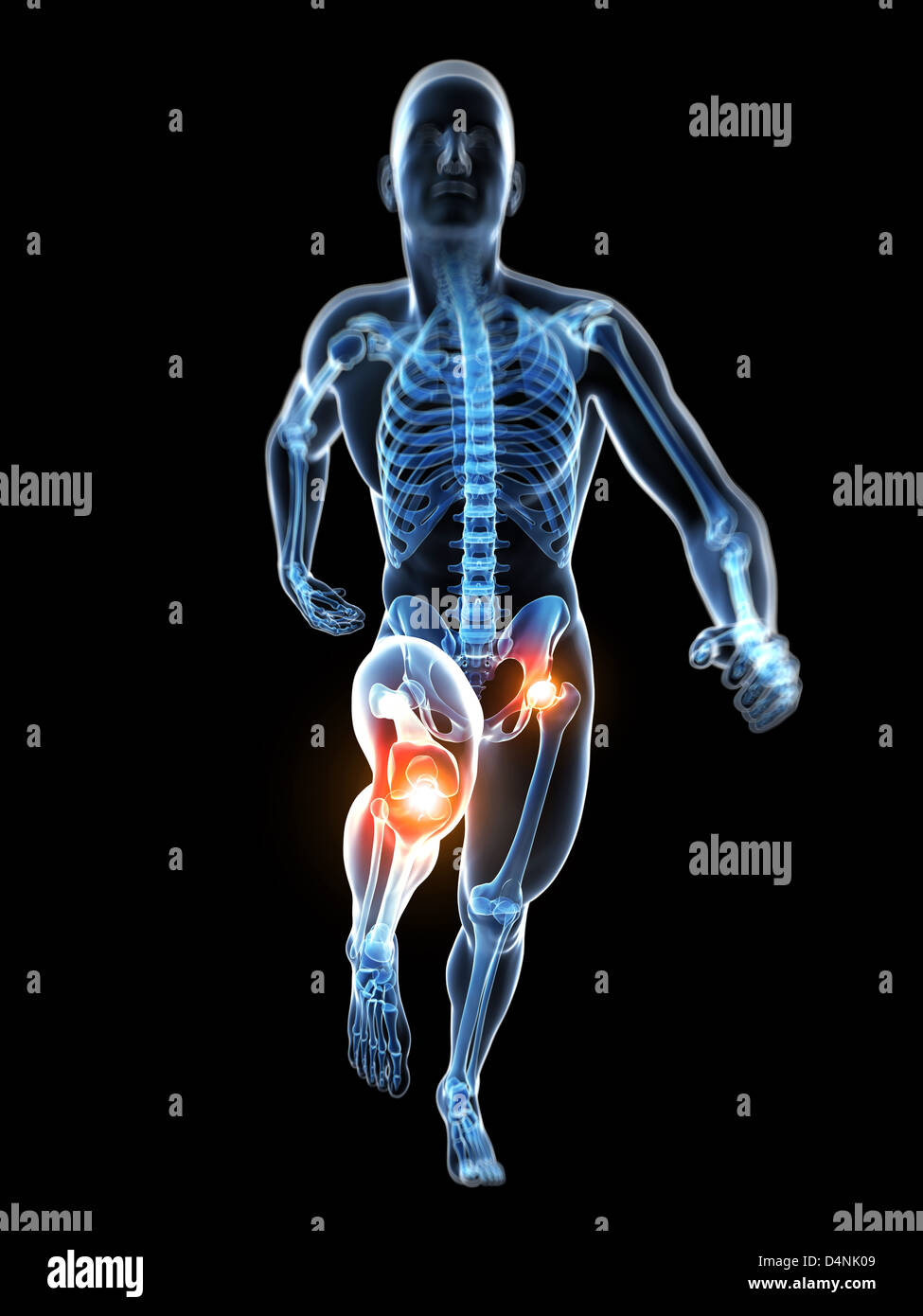 Human joint highlighted x ray hi-res stock photography and images - Alamy