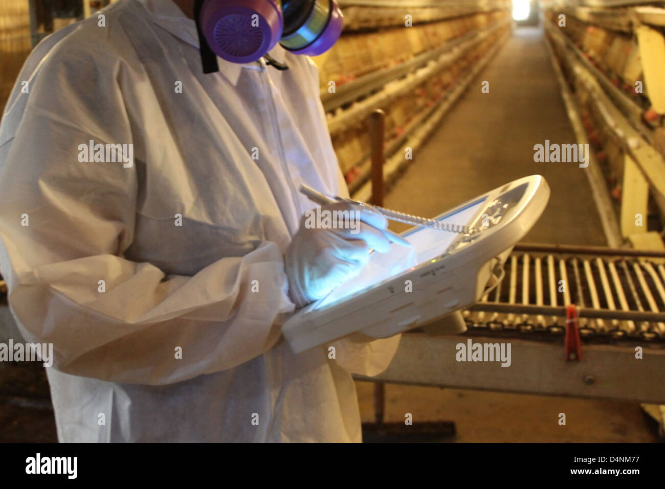 An FDA investigator is utilizing egg pad technology during farm ...
