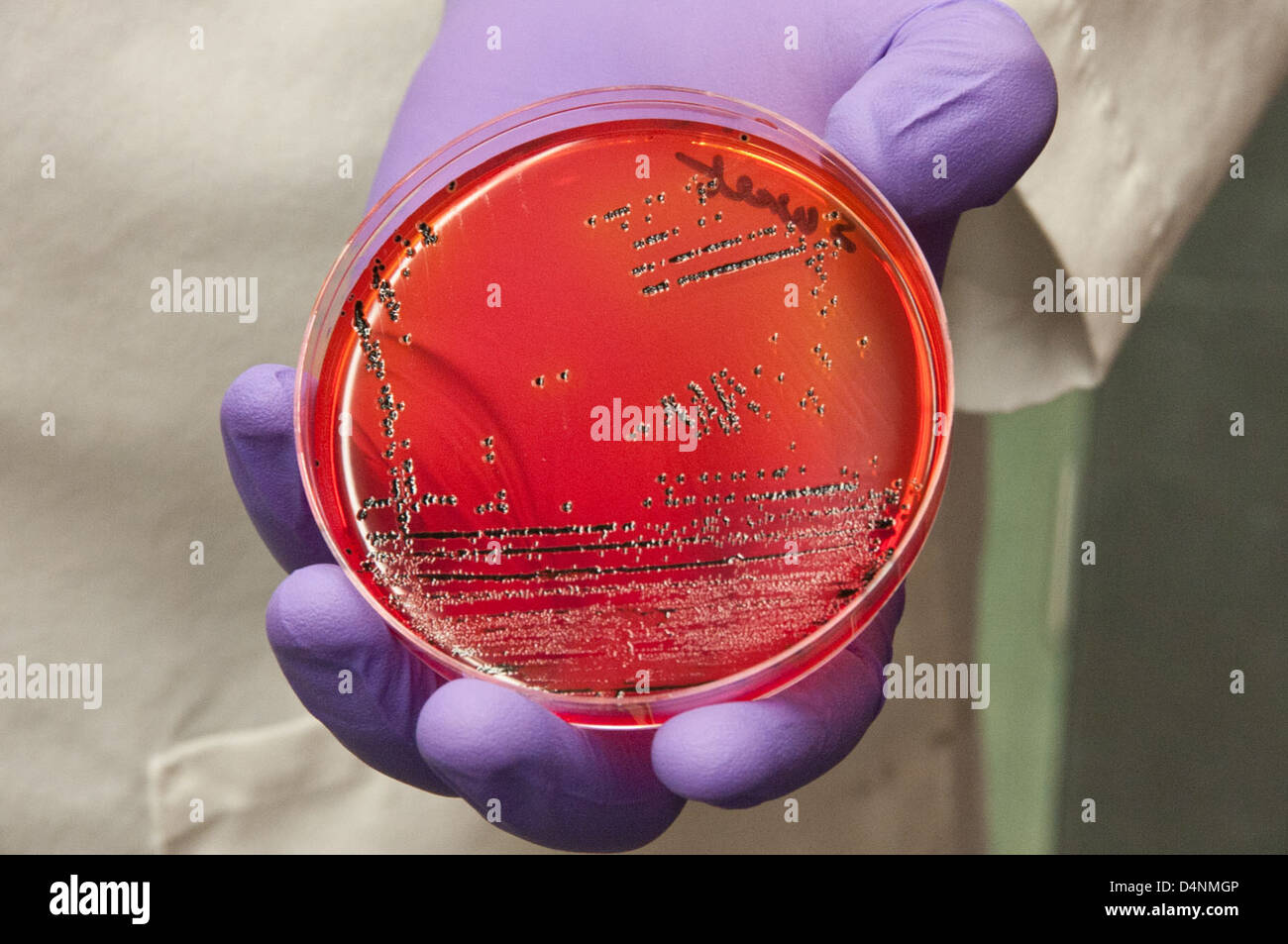 CFSAN Lab (3852 Stock Photo - Alamy
