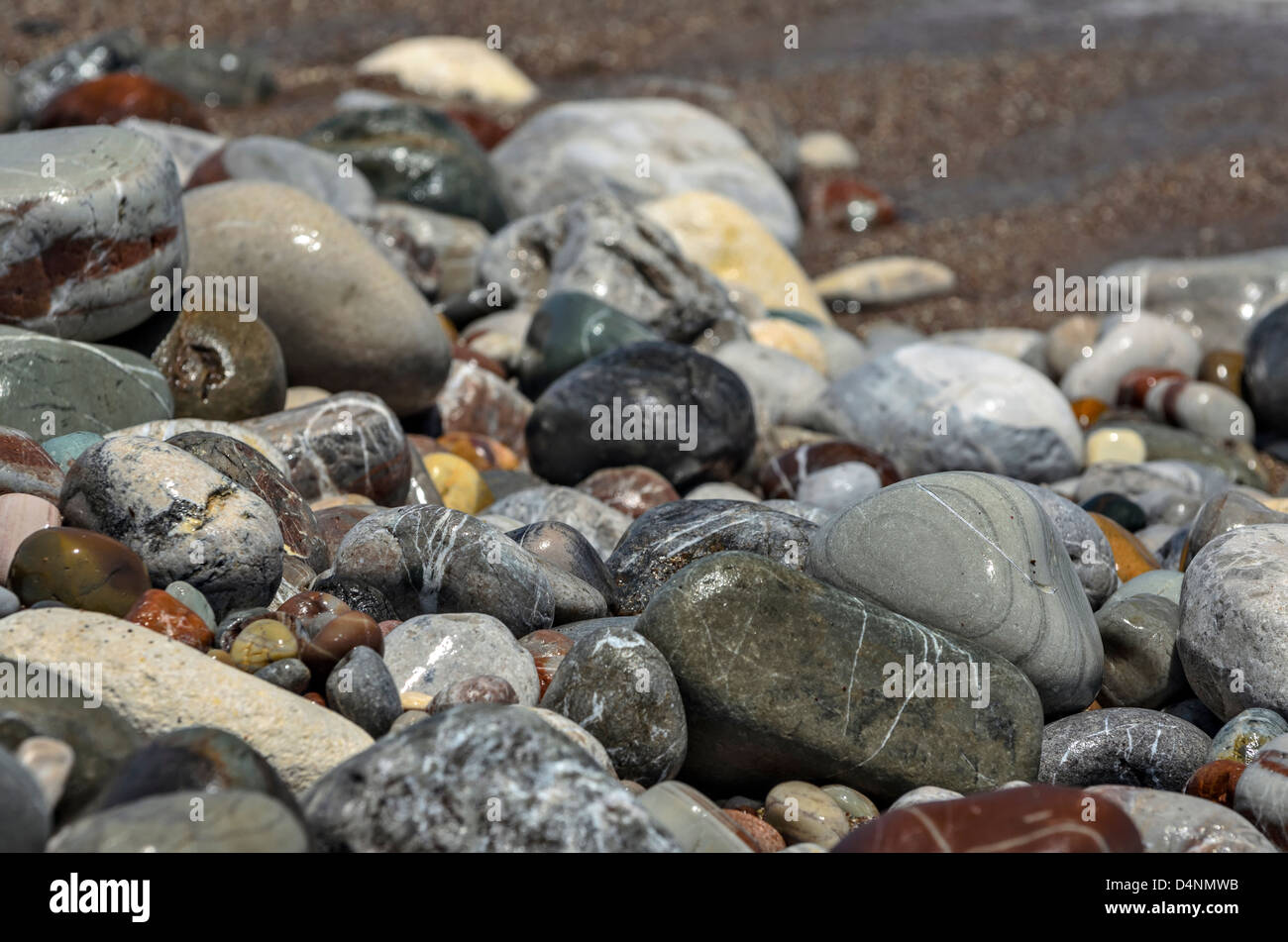 Closeup view of wet beach pebble with shallow DOF Stock Photo - Alamy