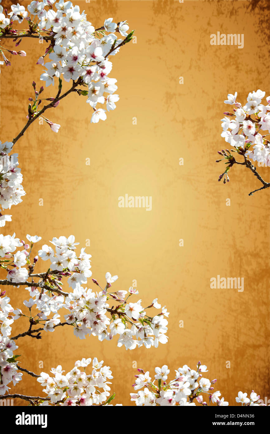 Rosacea tree hi-res stock photography and images - Alamy