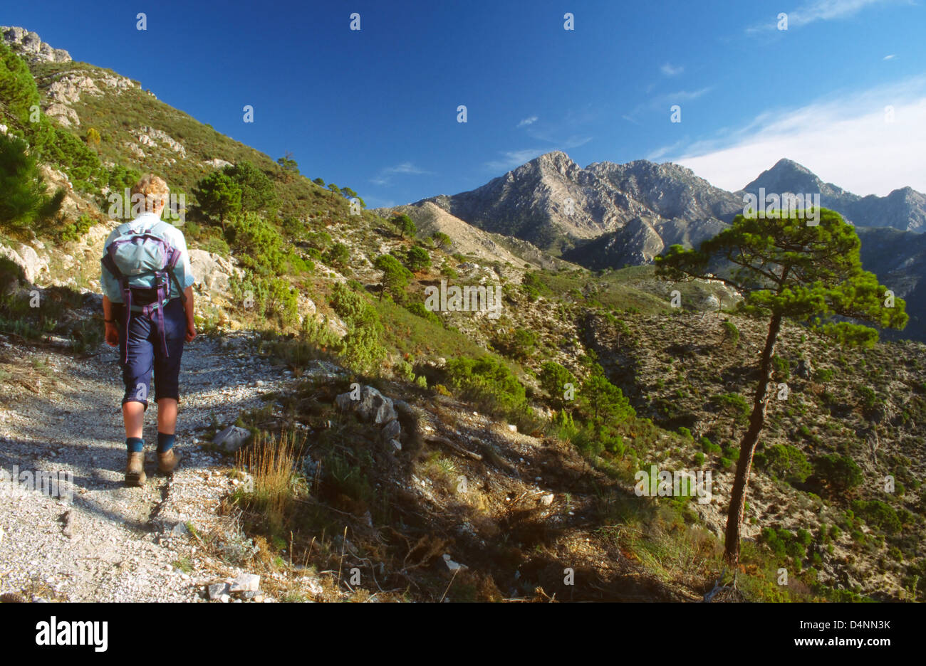 Alkmijara hi-res stock photography and images - Alamy