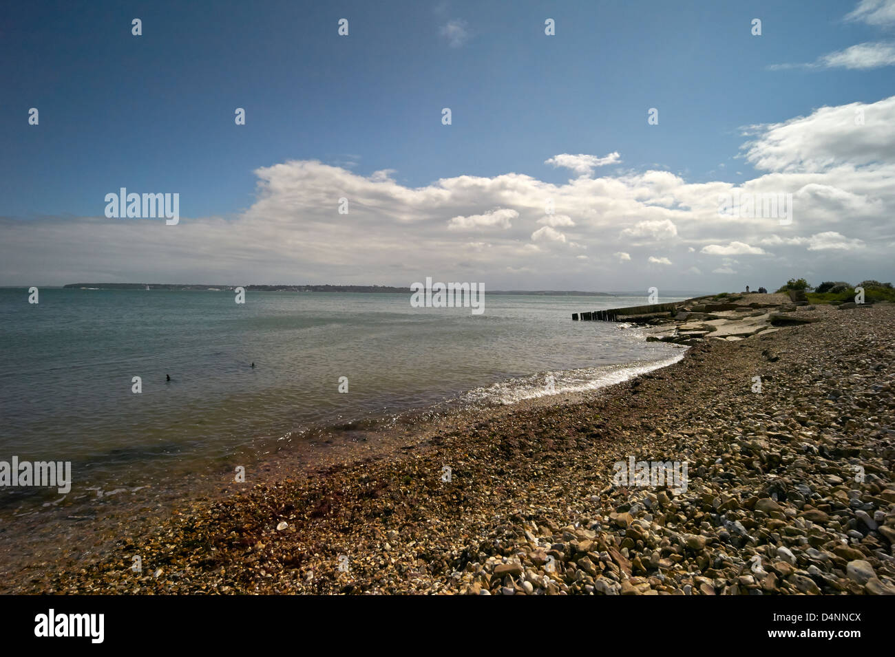 Strandline shoreline coast hi-res stock photography and images - Alamy