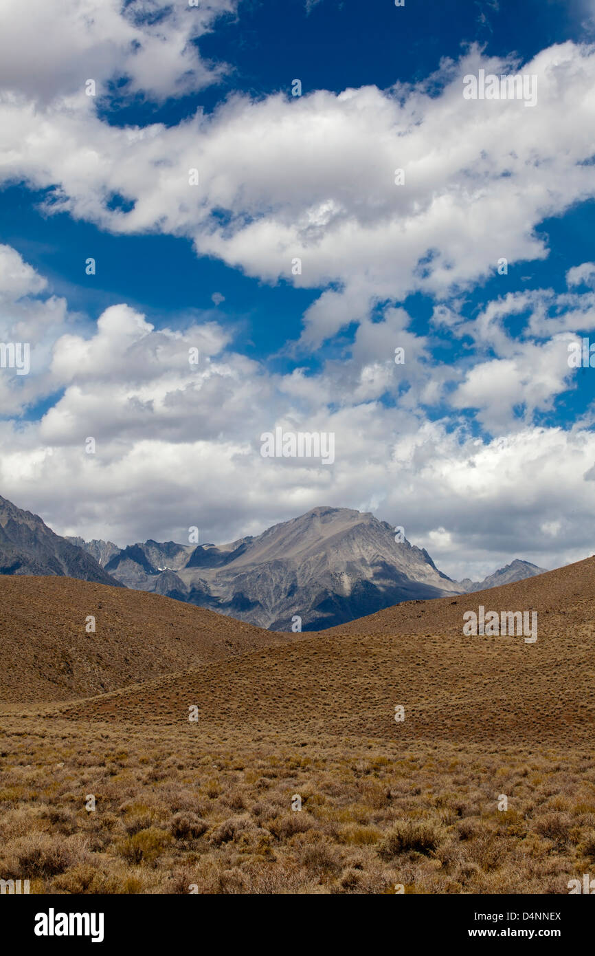 Dramatic sky in the desert, California, USA Stock Photo - Alamy