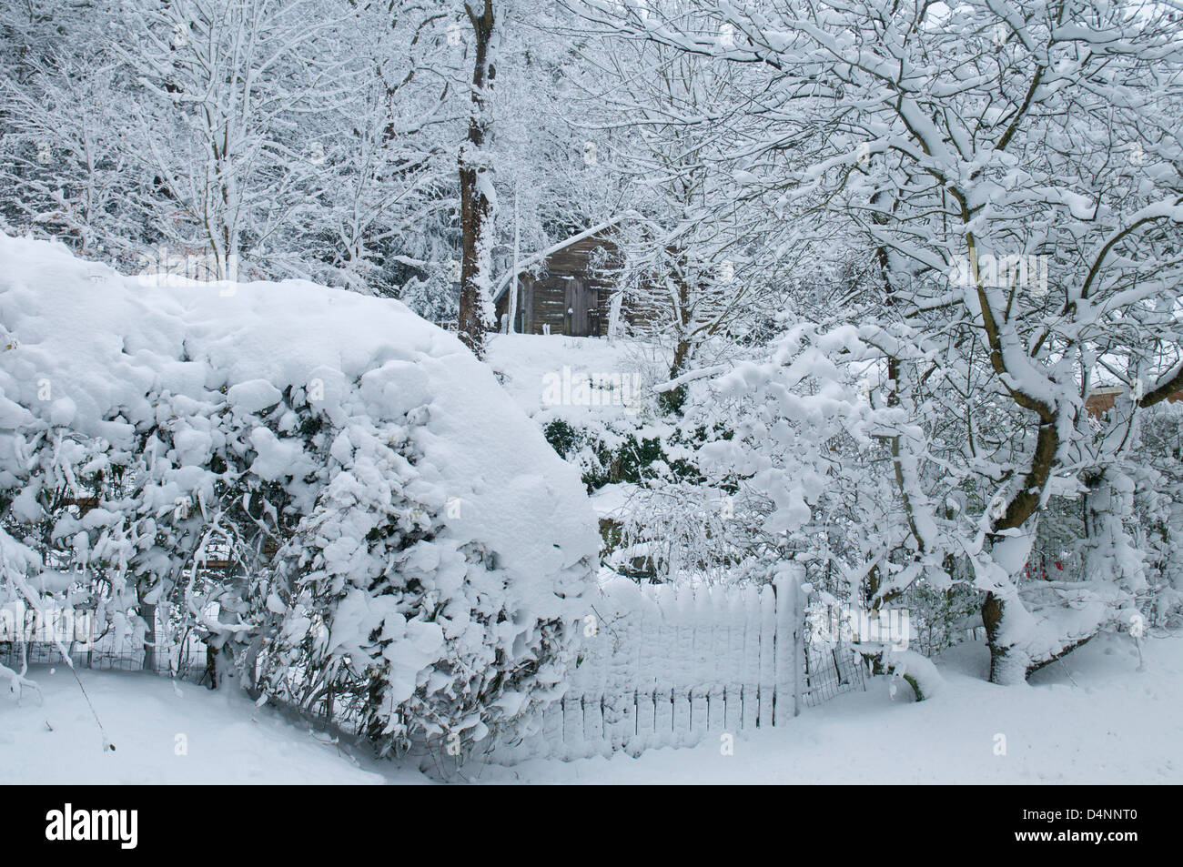 Jersey Channel Islands country lane in freak snow storms of March 2013 ...