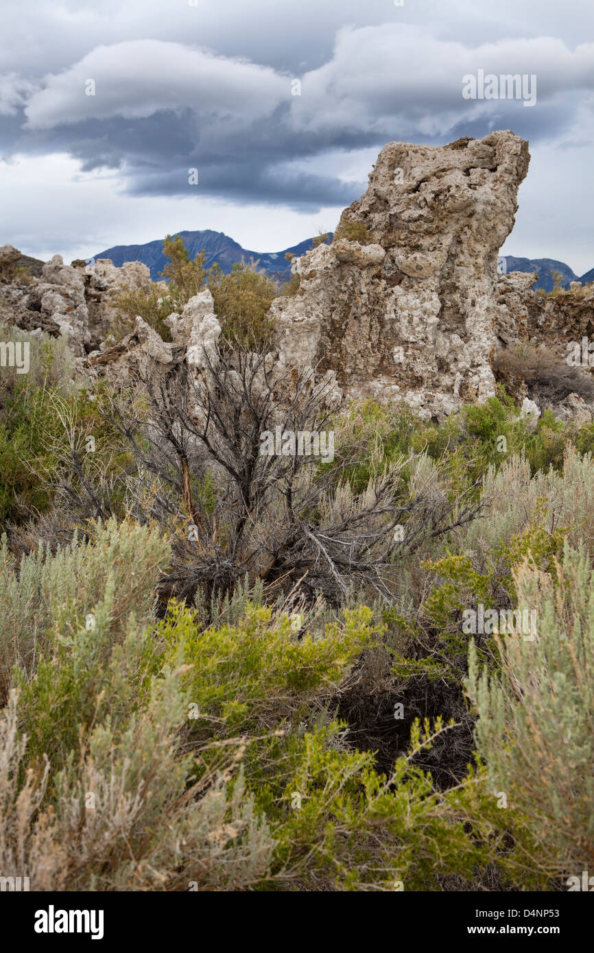 Phallic rock formation hi-res stock photography and images - Alamy
