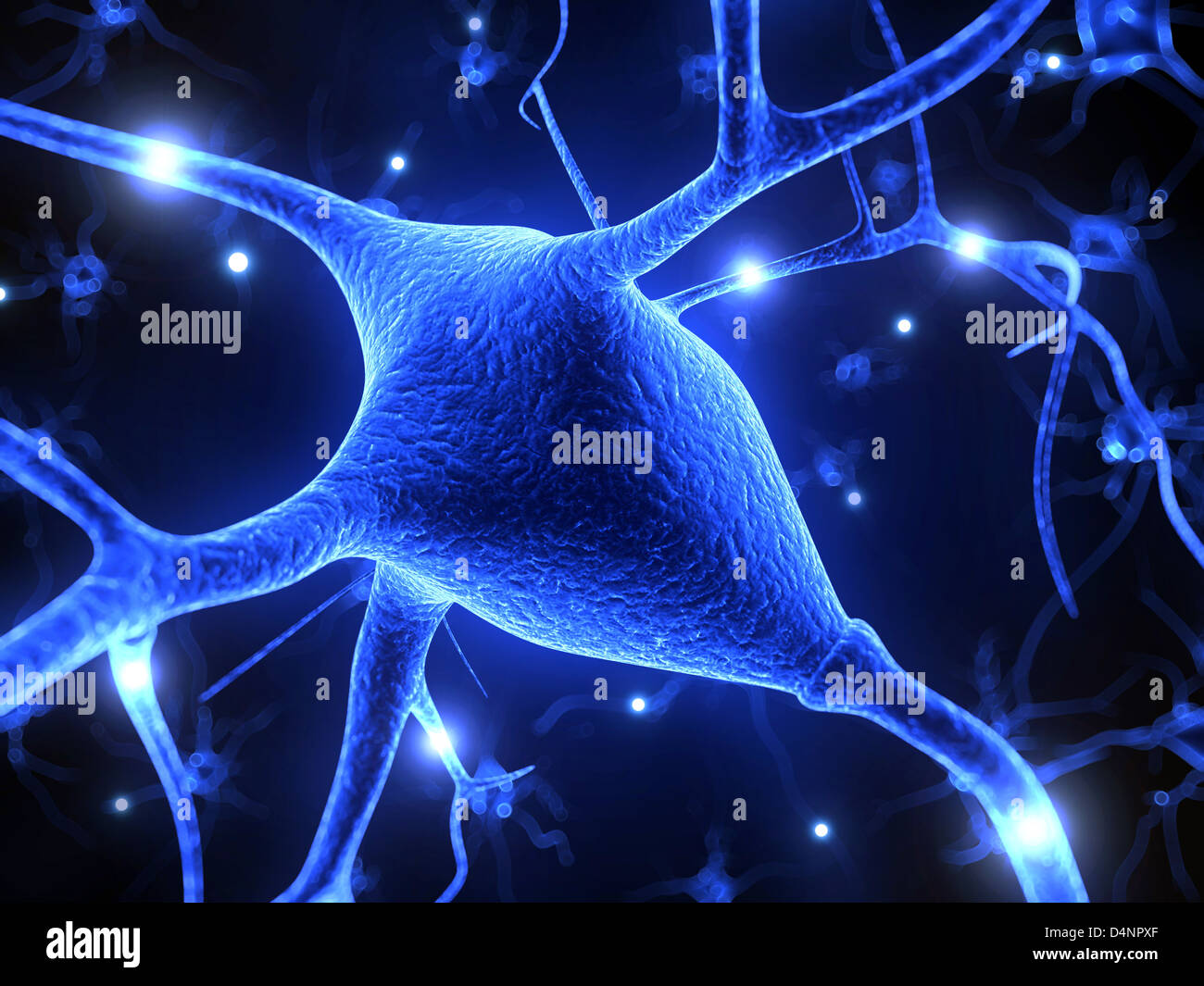 Active nerve cell Stock Photo - Alamy