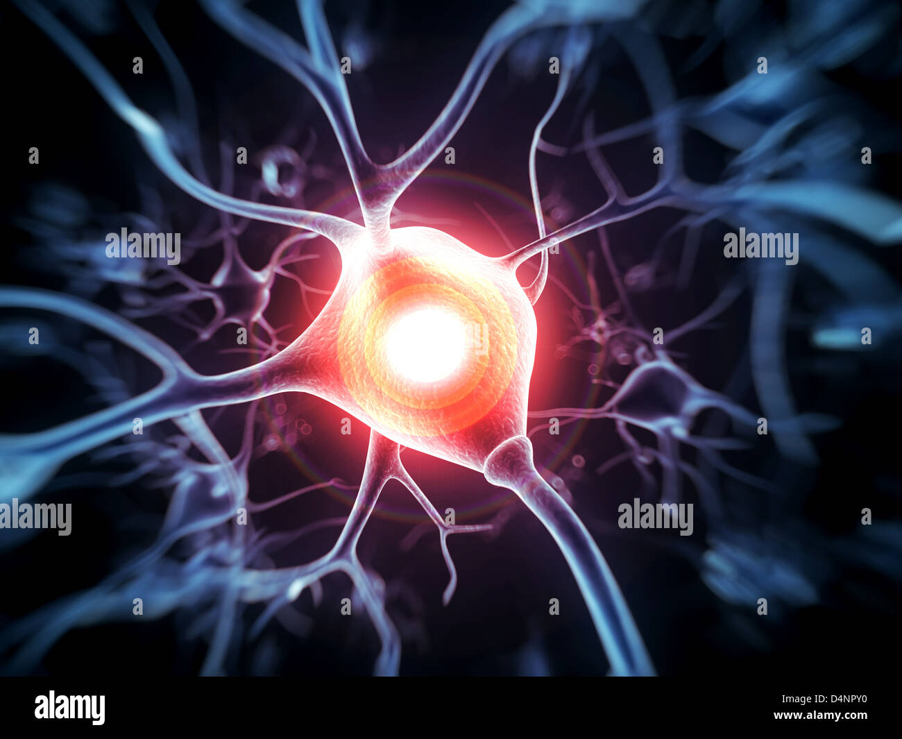 Active nerve cell Stock Photo - Alamy