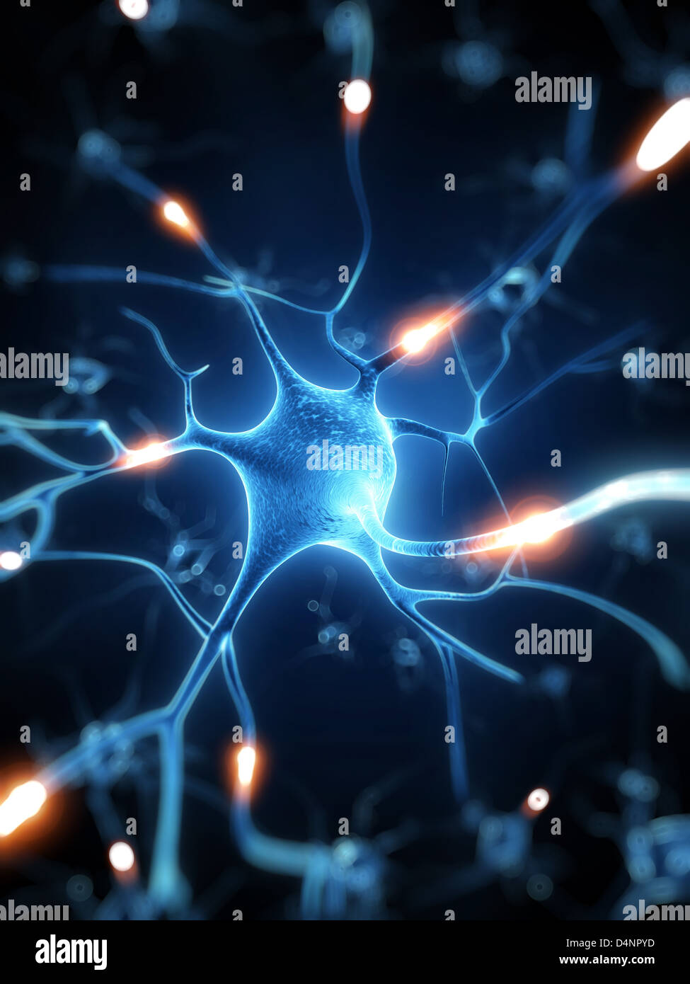 Active nerve cell Stock Photo - Alamy